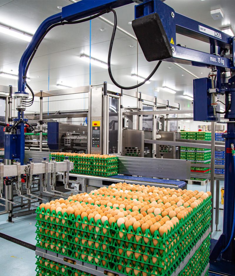 Our Farms - Days Country Fresh Eggs